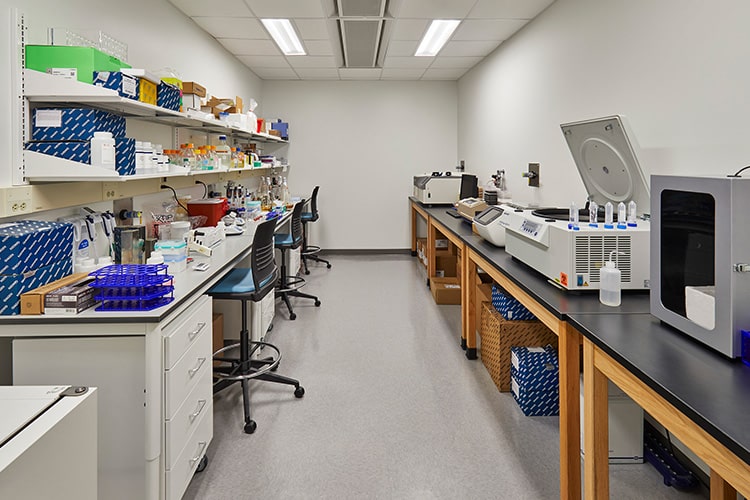 Purdue University Discovery Learning Research Center - Garmong